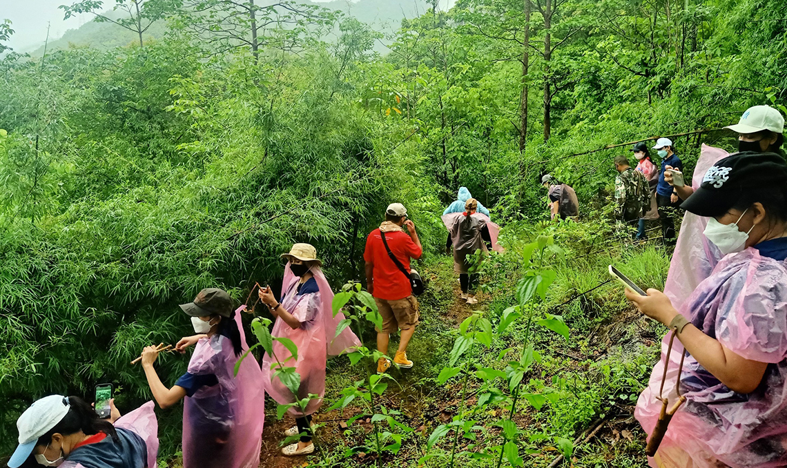 Elephant Food Planting Project in Forest Area | Thai Nippon Foods