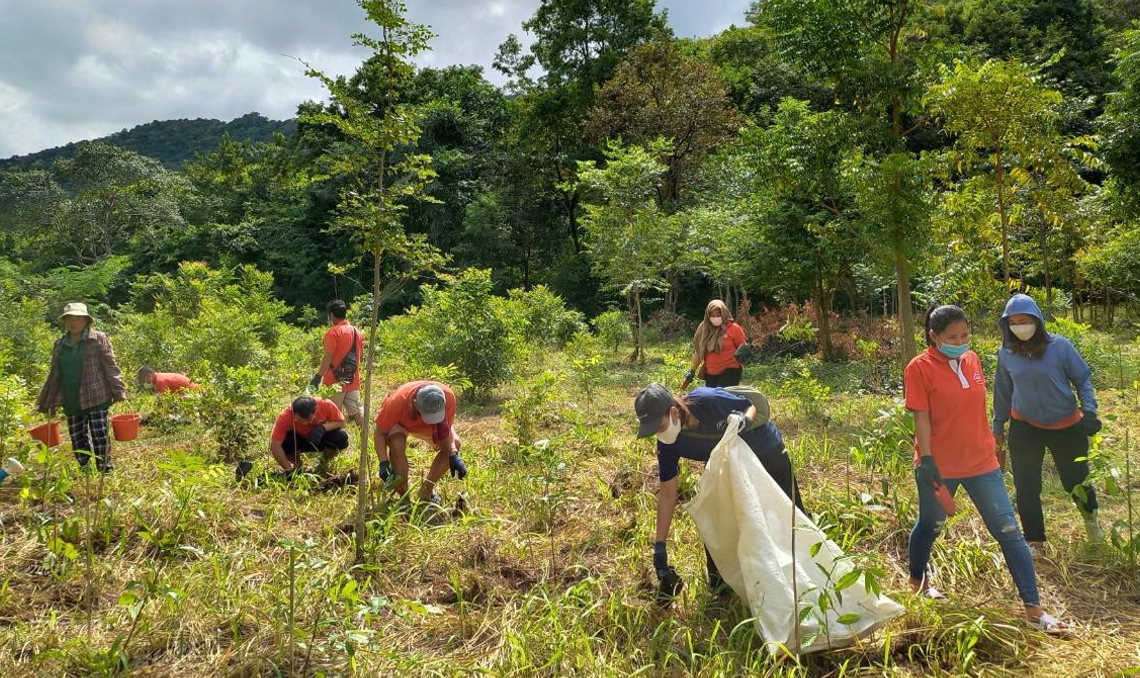 Reforestation Activities | Thai Nippon Foods